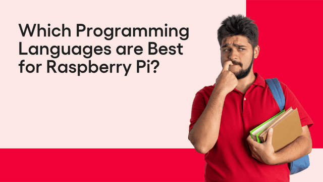10 Best Programming Languages for Raspberry Pi - AlmaBetter